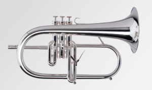 History and Types of Trumpets You Should Be Familiar With