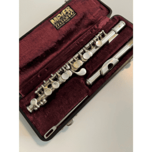 History and Types of Horns from Early Times Till Now - Brass 'n Wind